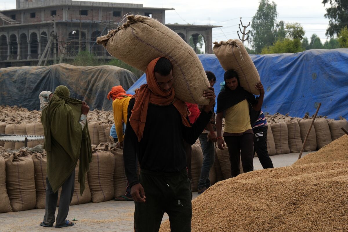 India Unemployment Rate Rises in October Post Harvest Season - Bloomberg