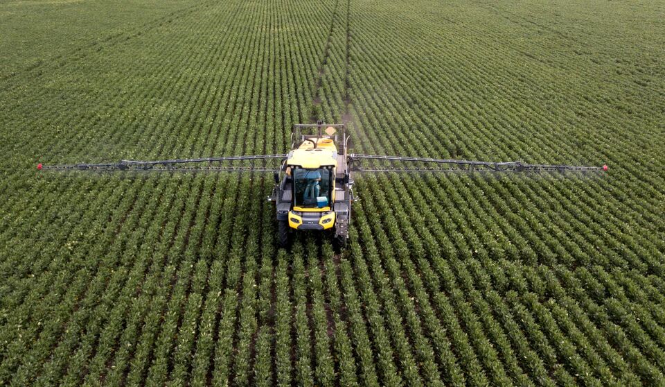 Monsanto's History Shows Toxic Downside of the World's Quest for Cheap ...