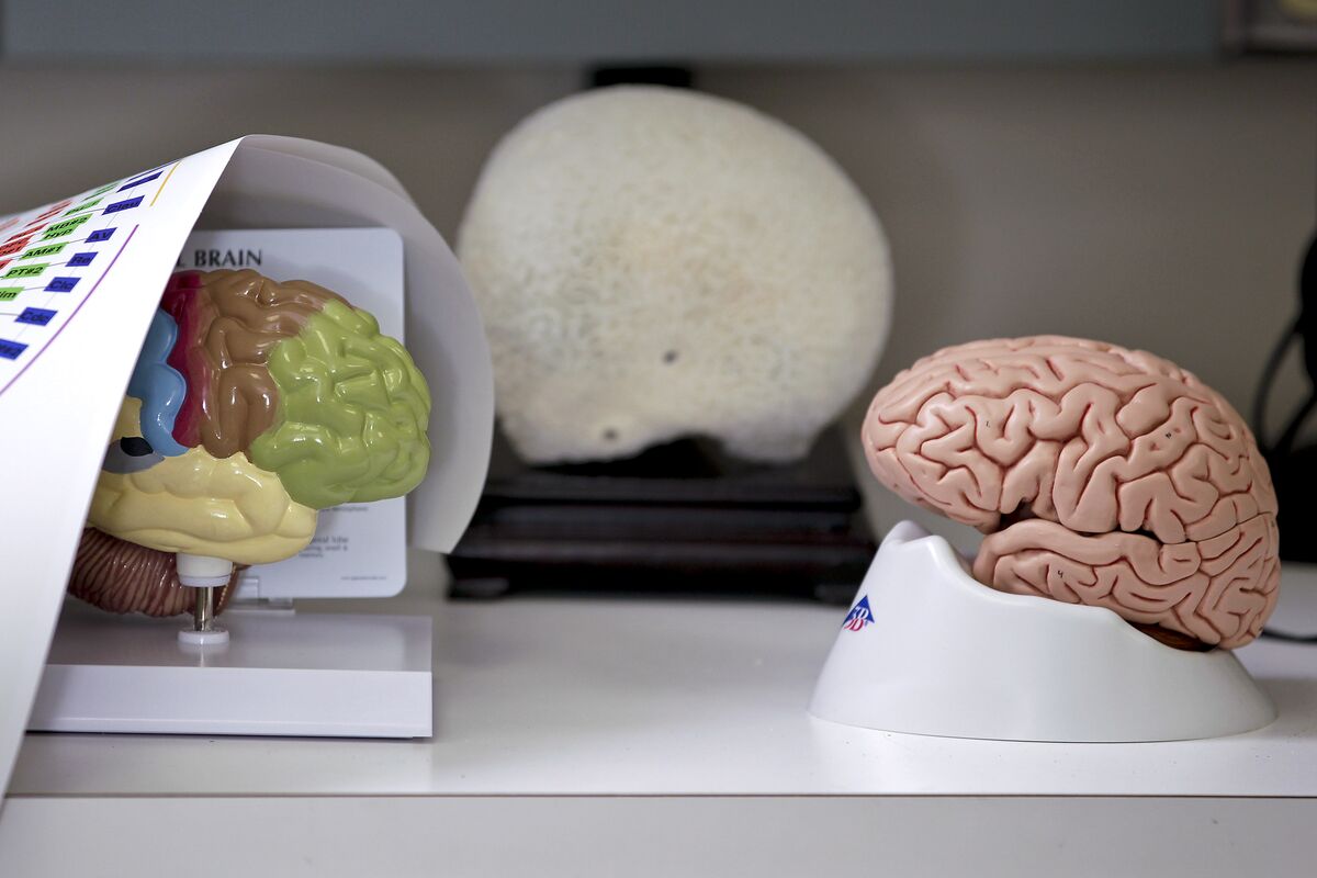 Above-Average Intelligence Is More Common Than You Might Think - Bloomberg