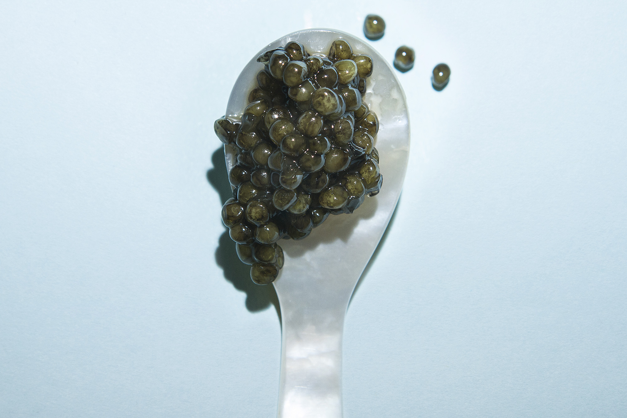 Caviar Buying Guide: The Tastiest Tins Both Domestic and Imported ...