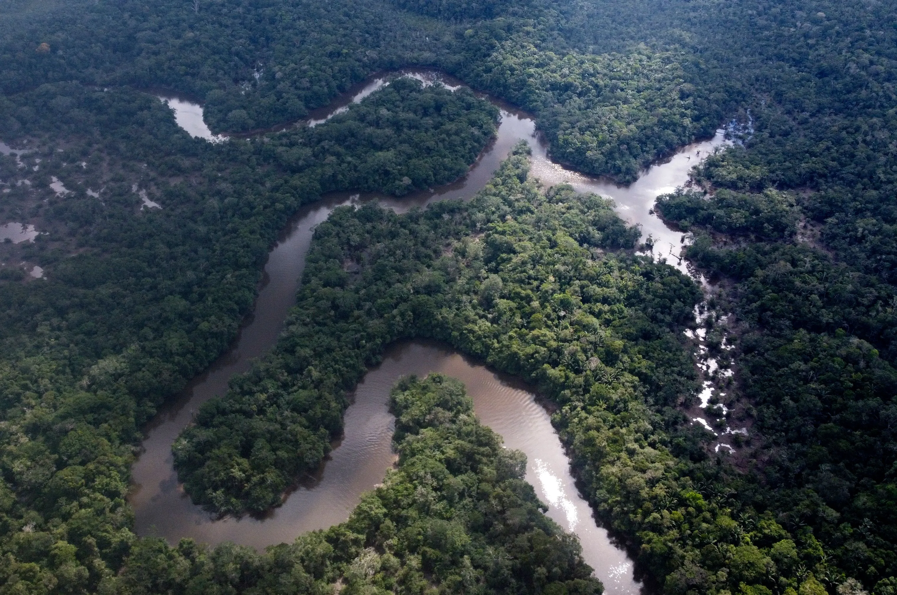 Peru Expects to Lose Money Pumping Oil Via Amazon Rainforest - Bloomberg