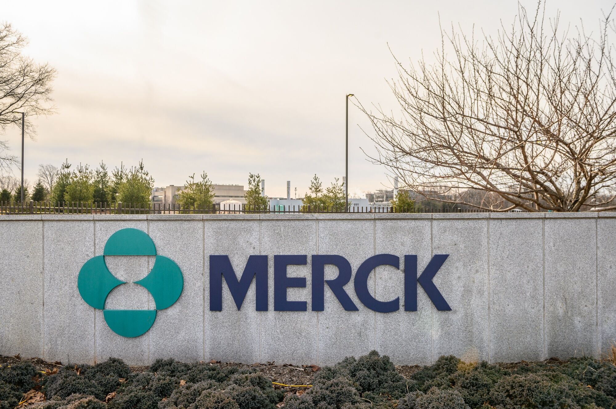Merck Sells $8 Billion of Bonds to Fund Acceleron Acquisition - Bloomberg