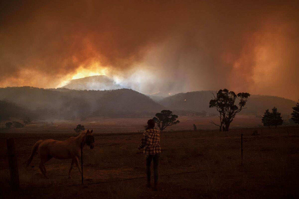How Australia’s Wildfires Have Impacted Children’s Health