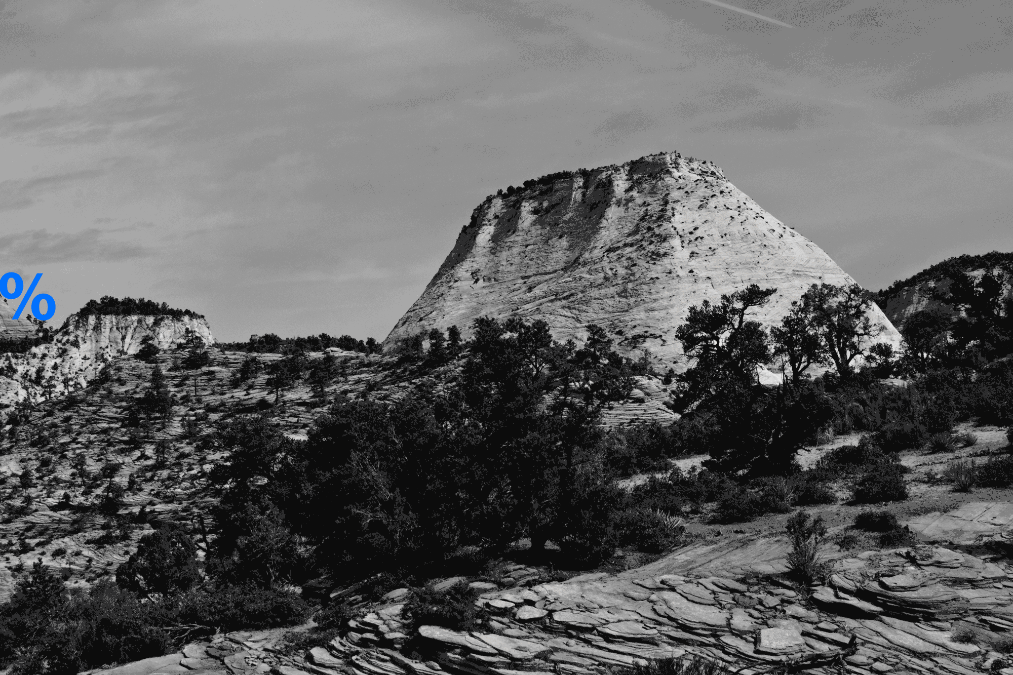 Joseph Belbruno Blog