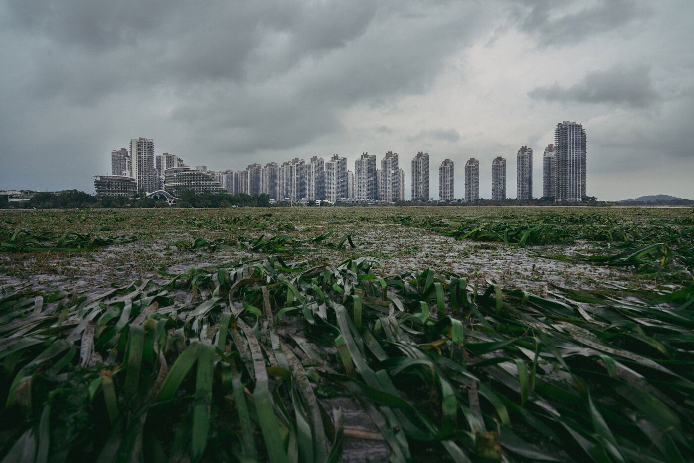 China’s Real Estate Crisis Threatens $100 Billion Forest City