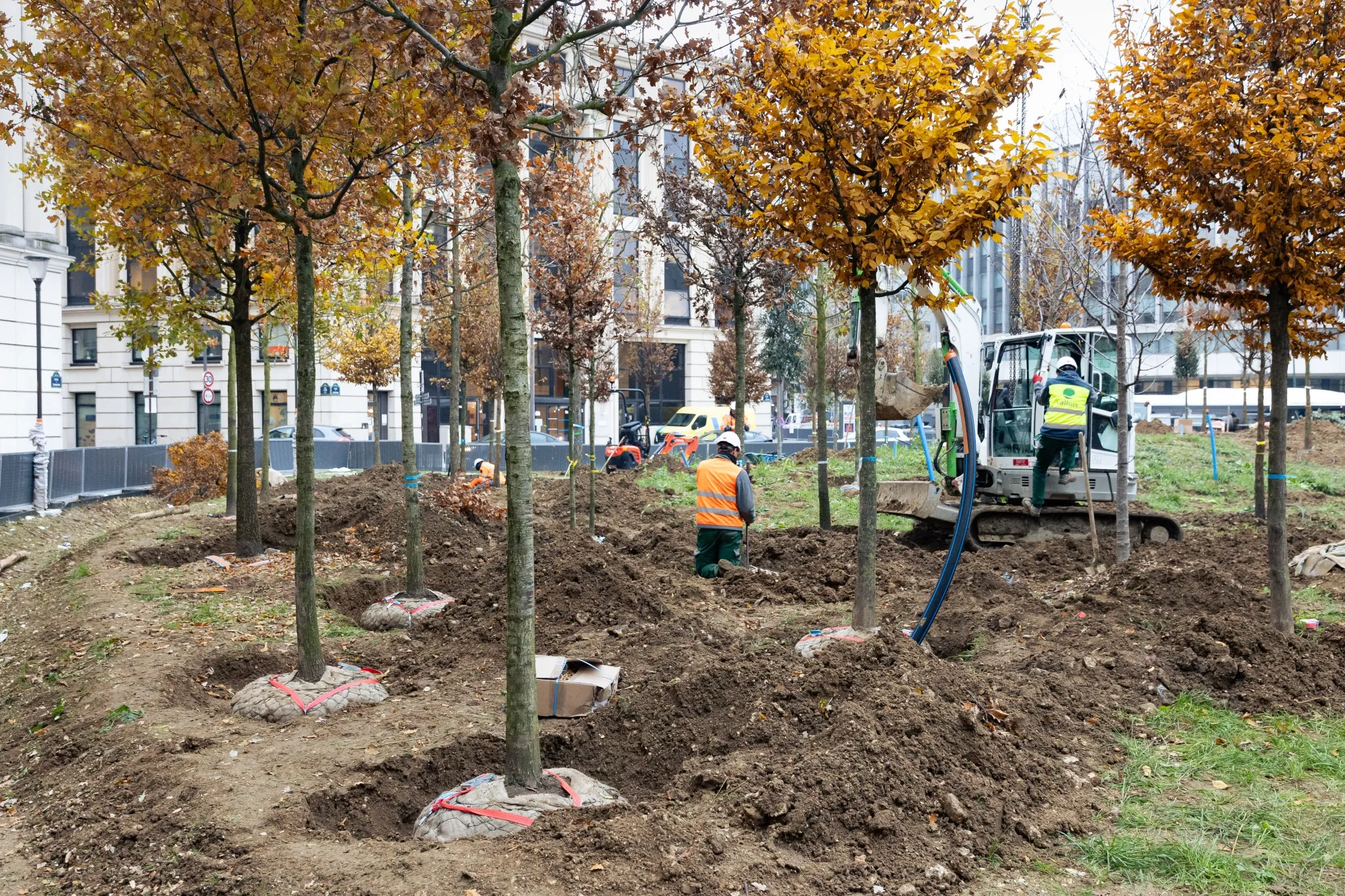 Paris Forest