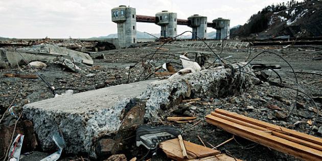 Japan in Crisis - Bloomberg