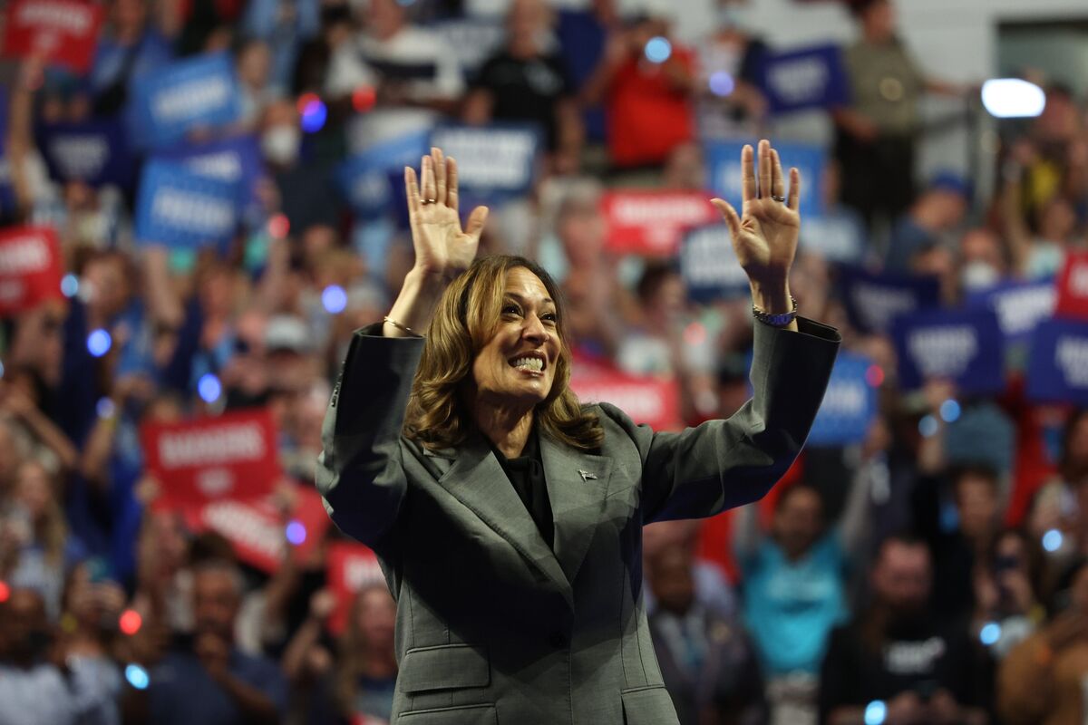 Harris Leads In Polls Vt News 0380