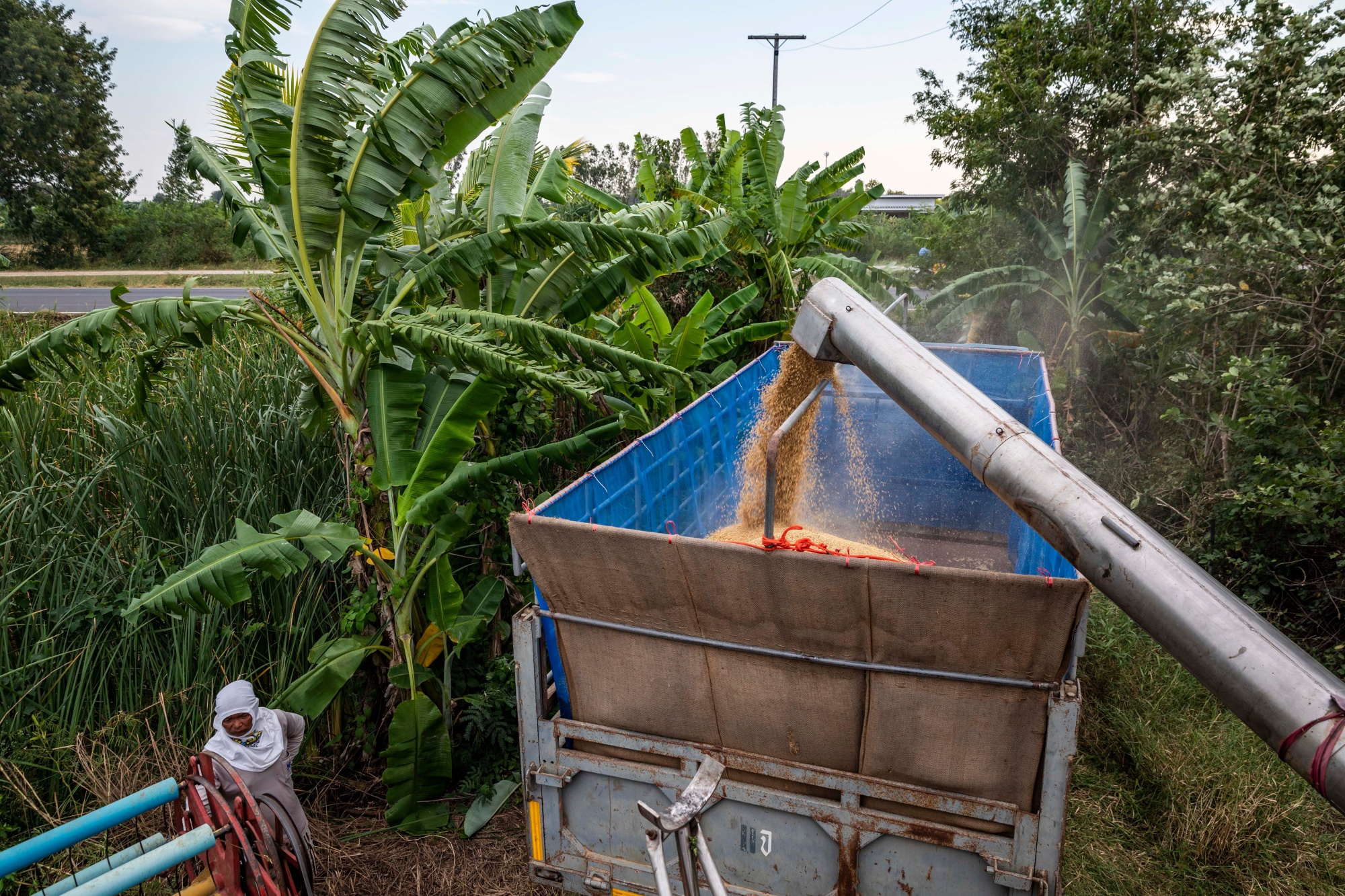 Thailand Food Exports Set to Jump With Protectionism Rising - Bloomberg