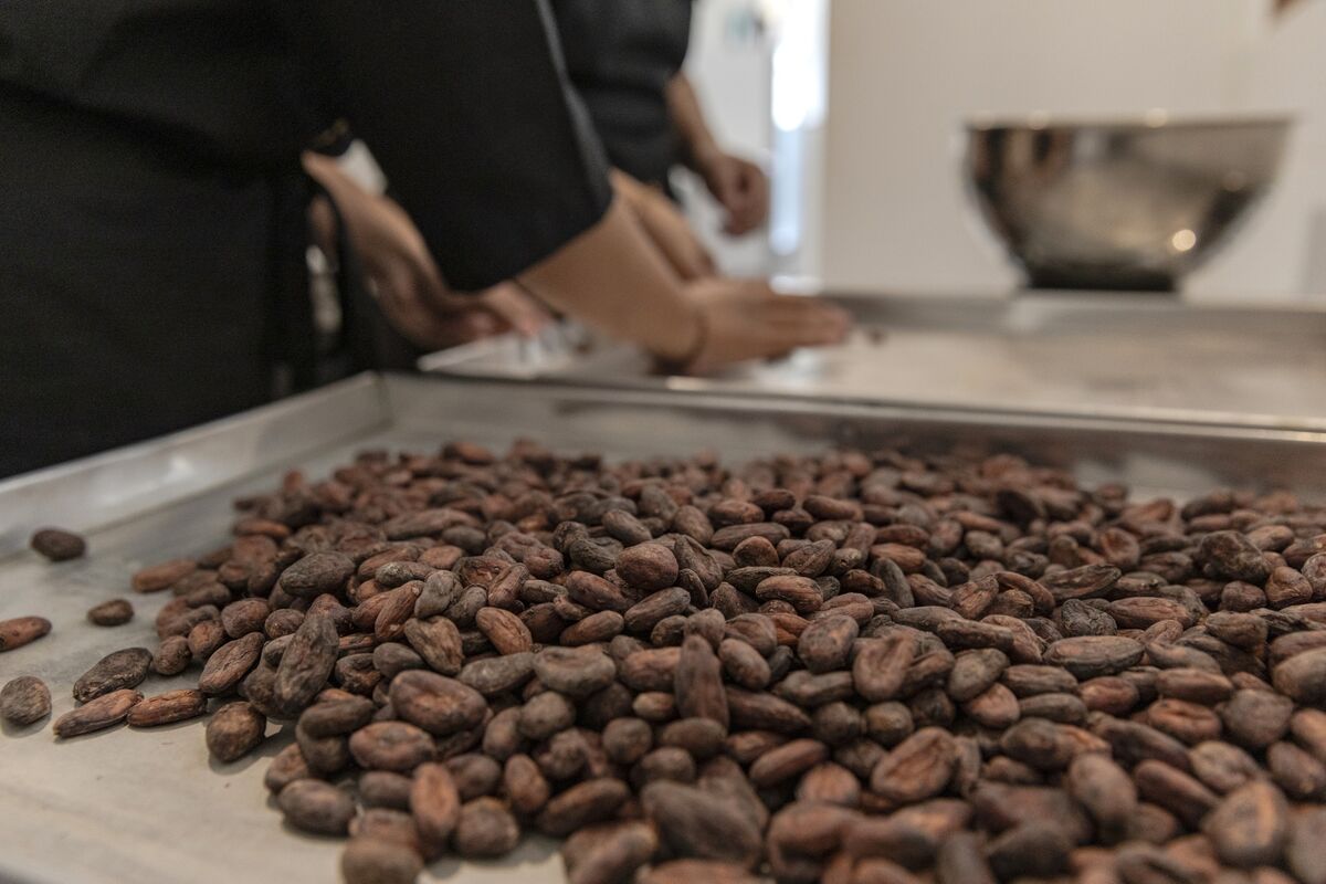 Cocoa Extends Slide From Record as Traders Flee Troubled Market - Bloomberg