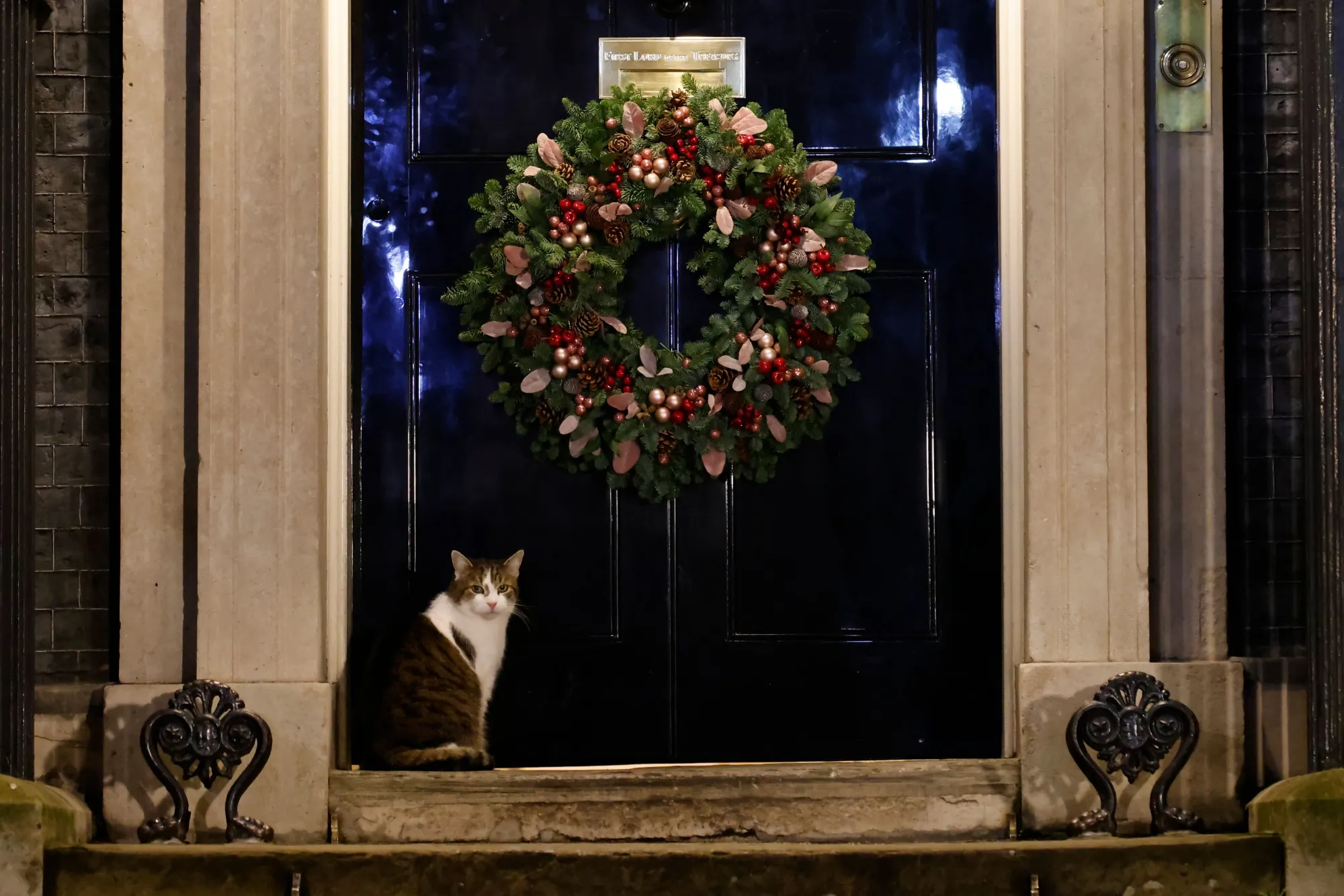 Brexit, Big Tech, Freezers and Science Had a Good 2020 - Bloomberg