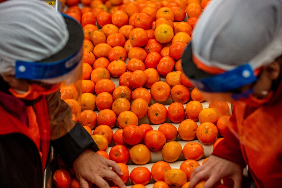 Oranges Were a Pandemic Pick-Me-Up Before the New Normal Set In - Bloomberg