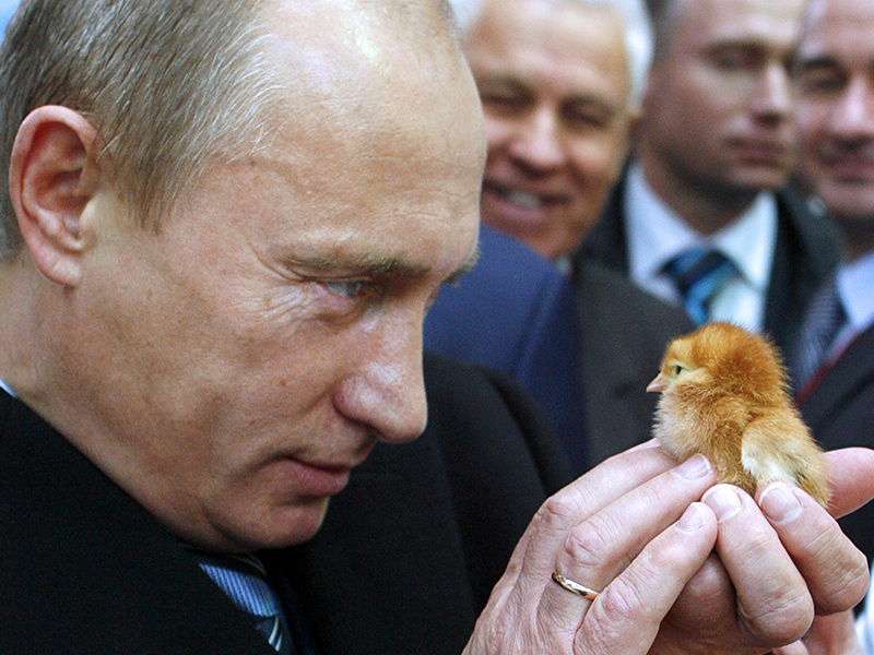 John Brown's Notes and Essays: Putin Resurrects the Soviet Super Chicken