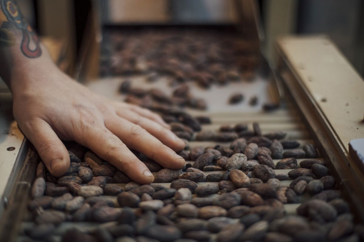 Pierre Andurand Ditches Oil Trades for Copper, Cocoa - Bloomberg