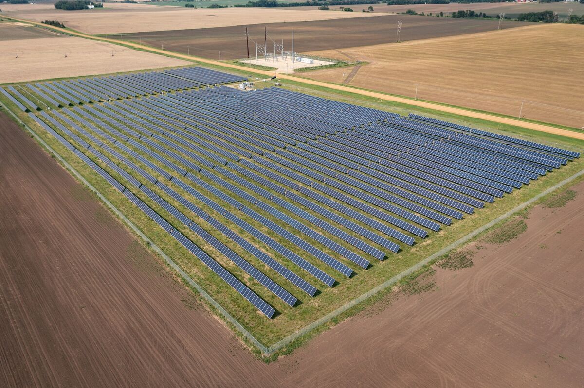 How Solar-Grazing Sheep Keep US Panels Out of the Shade