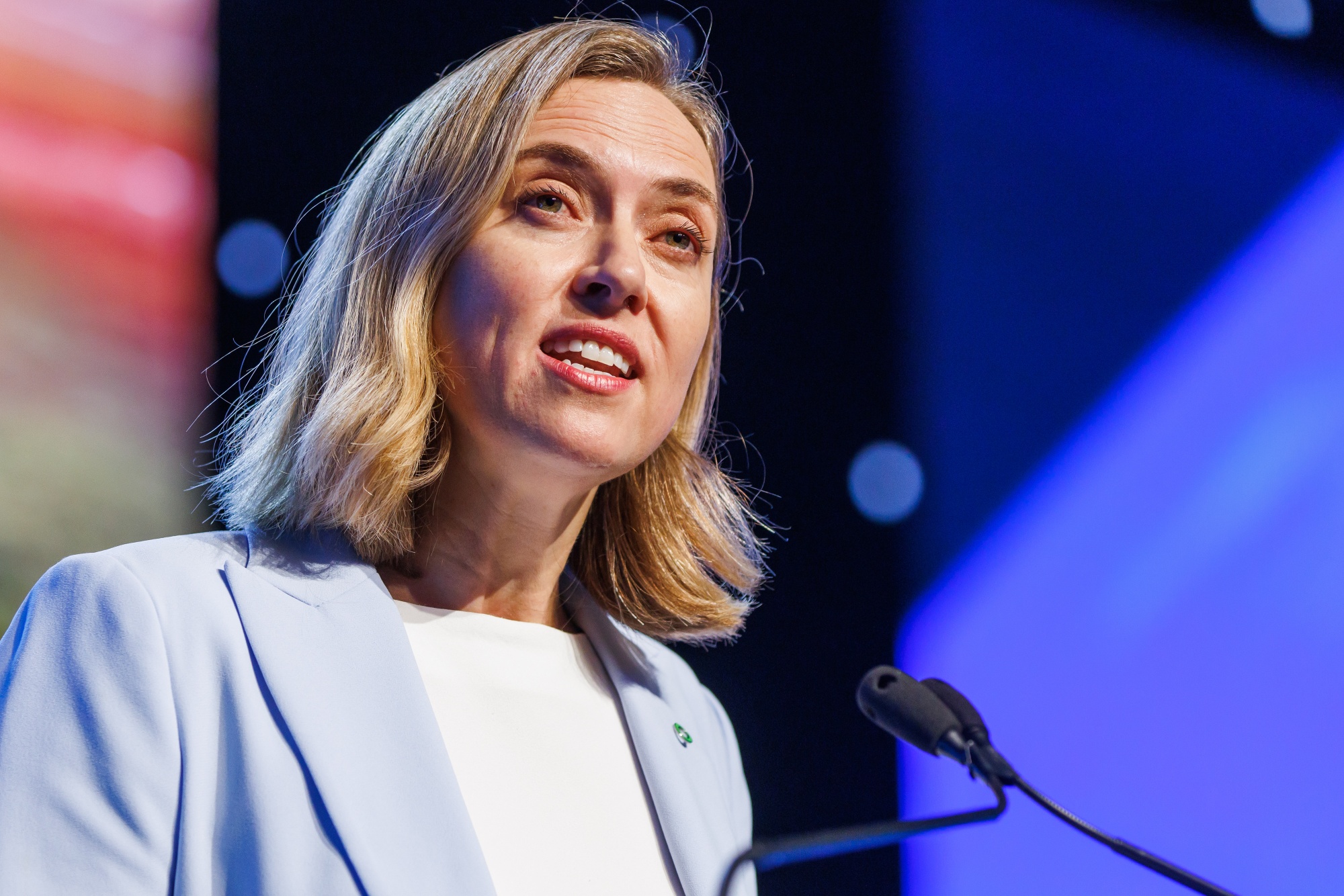 Fortescue Profit Falls 11% as Iron Ore Chief Fiona Hick Abruptly ...