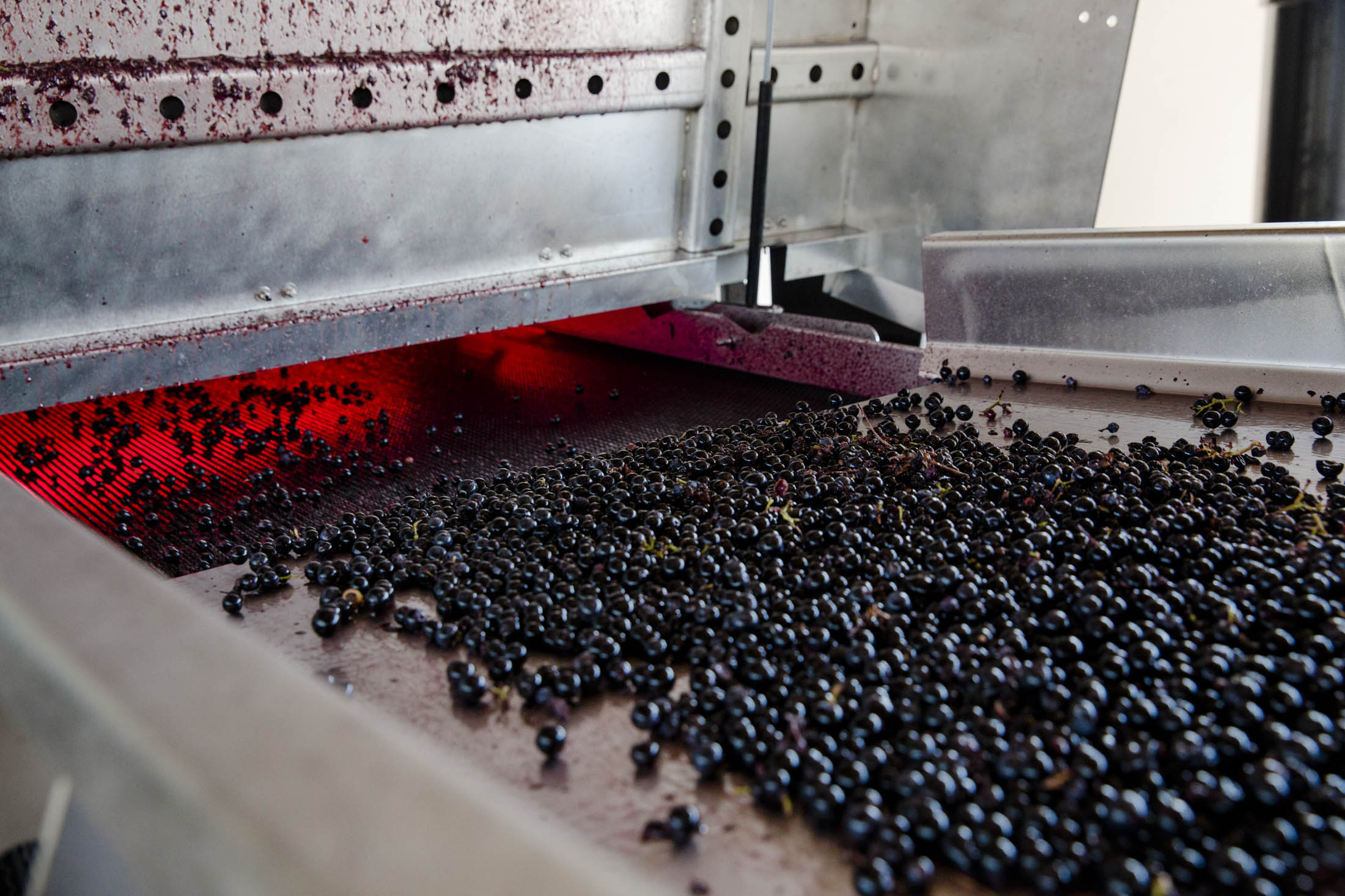 See Exactly How Bordeaux's Chateau Palmer Makes Its Top Wines - Bloomberg