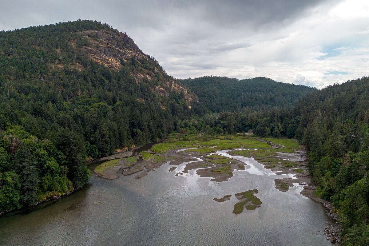 Climate Change Is Scrambling Rivers’ Natural Ebbs and Flows - Bloomberg