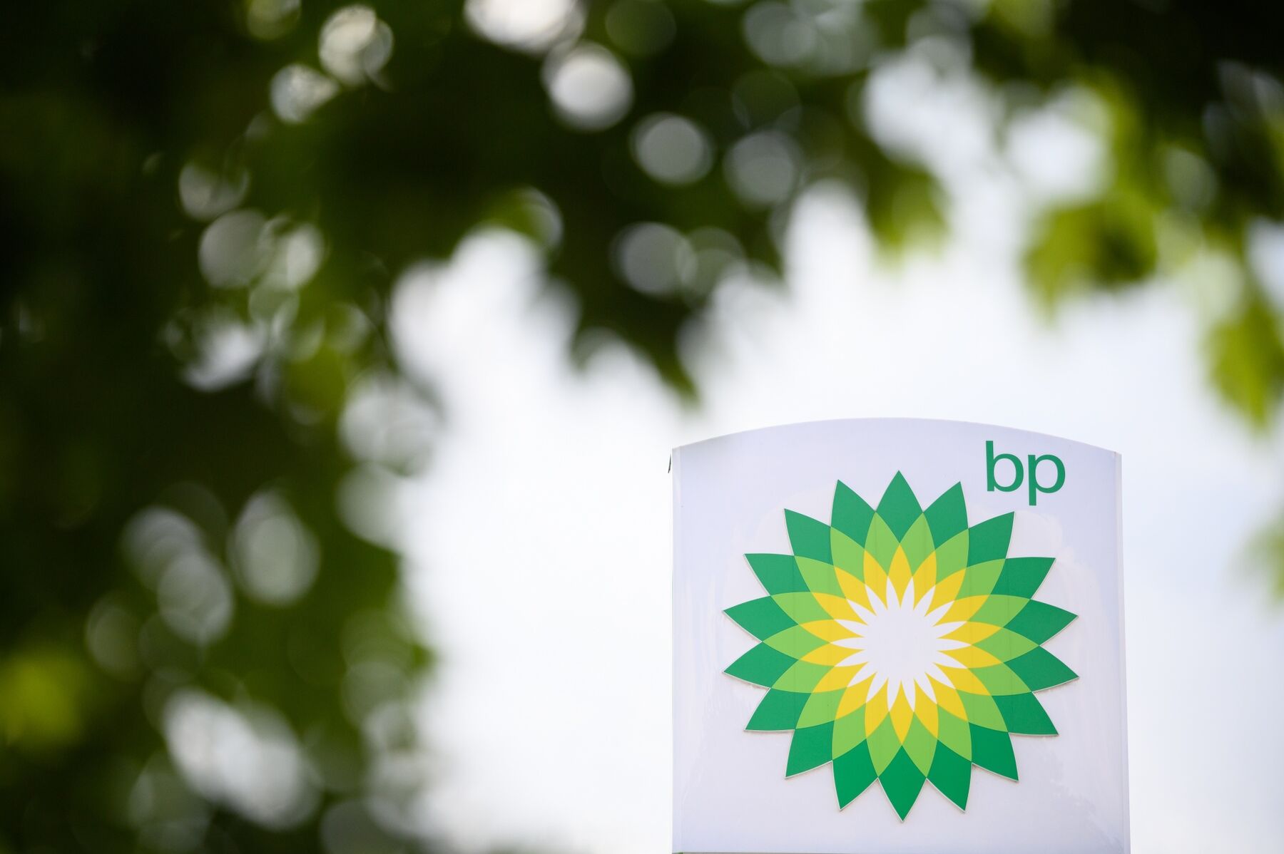 BP’s Urgent Search for a New CEO: Who’s on the List? - Bloomberg