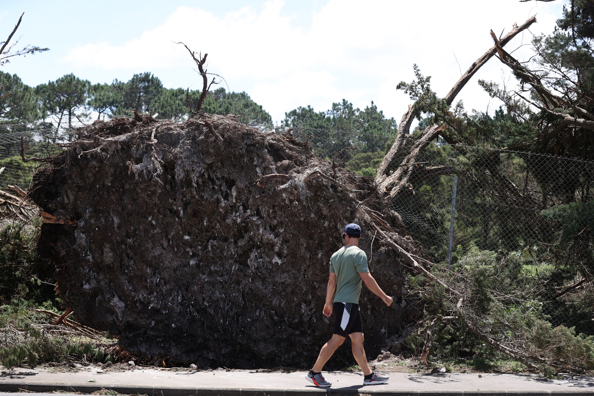 New Zealand Cyclone Update: Search for Missing Goes On as Death Toll ...