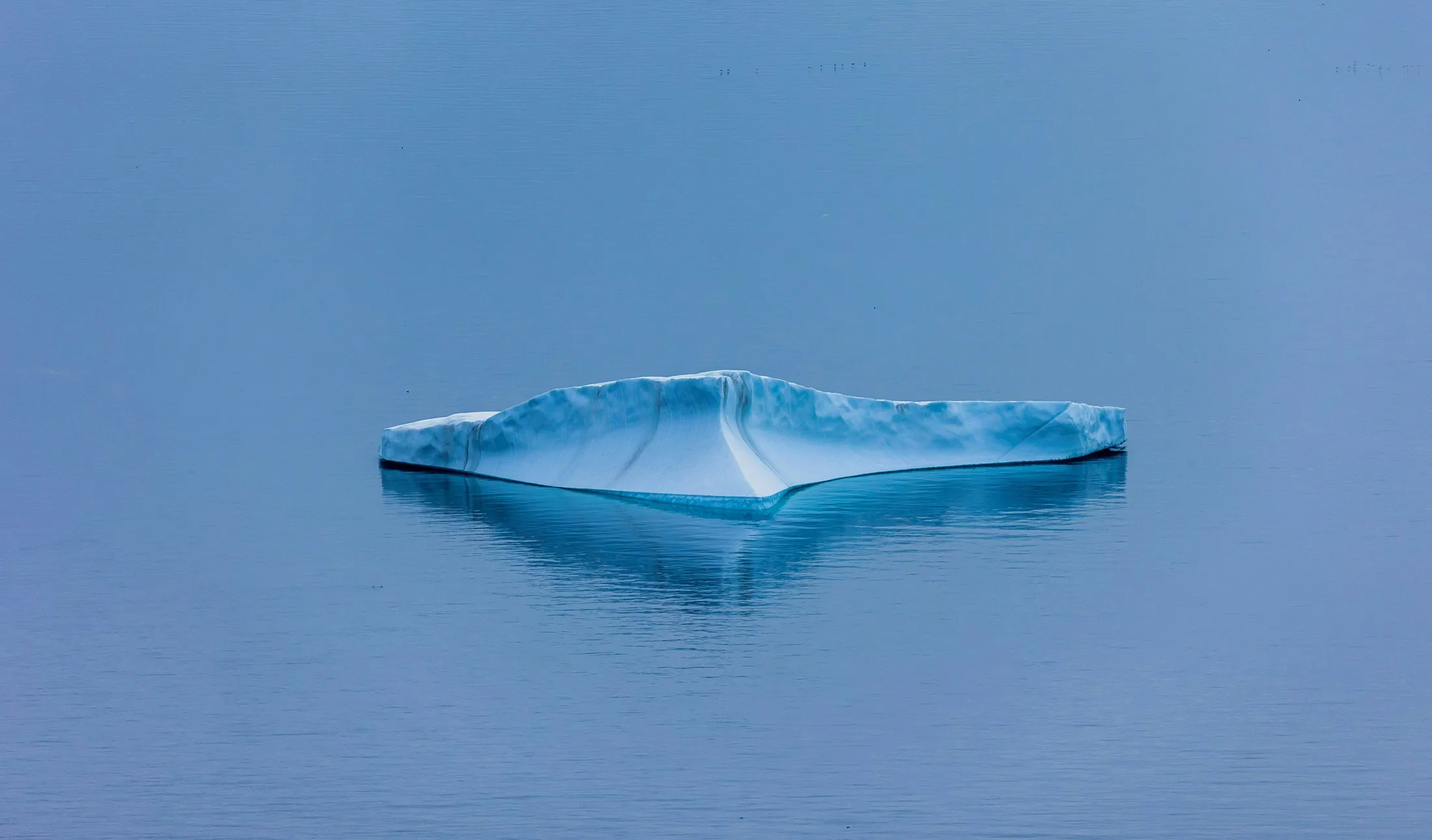 How Arctic Ice Melt Raises the Risk of Far-Away Wildfires - Bloomberg