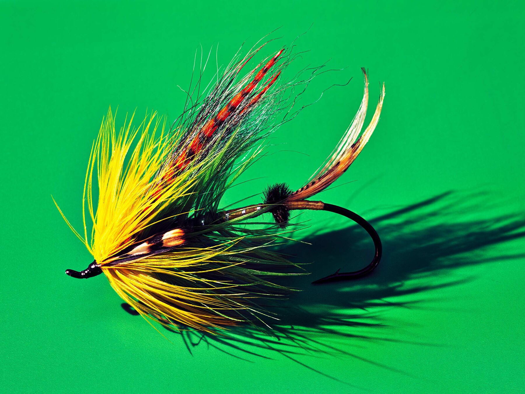 Tying Fishing Flies With Henry Hoffman, Grizzly Hackle Feathers - Bloomberg