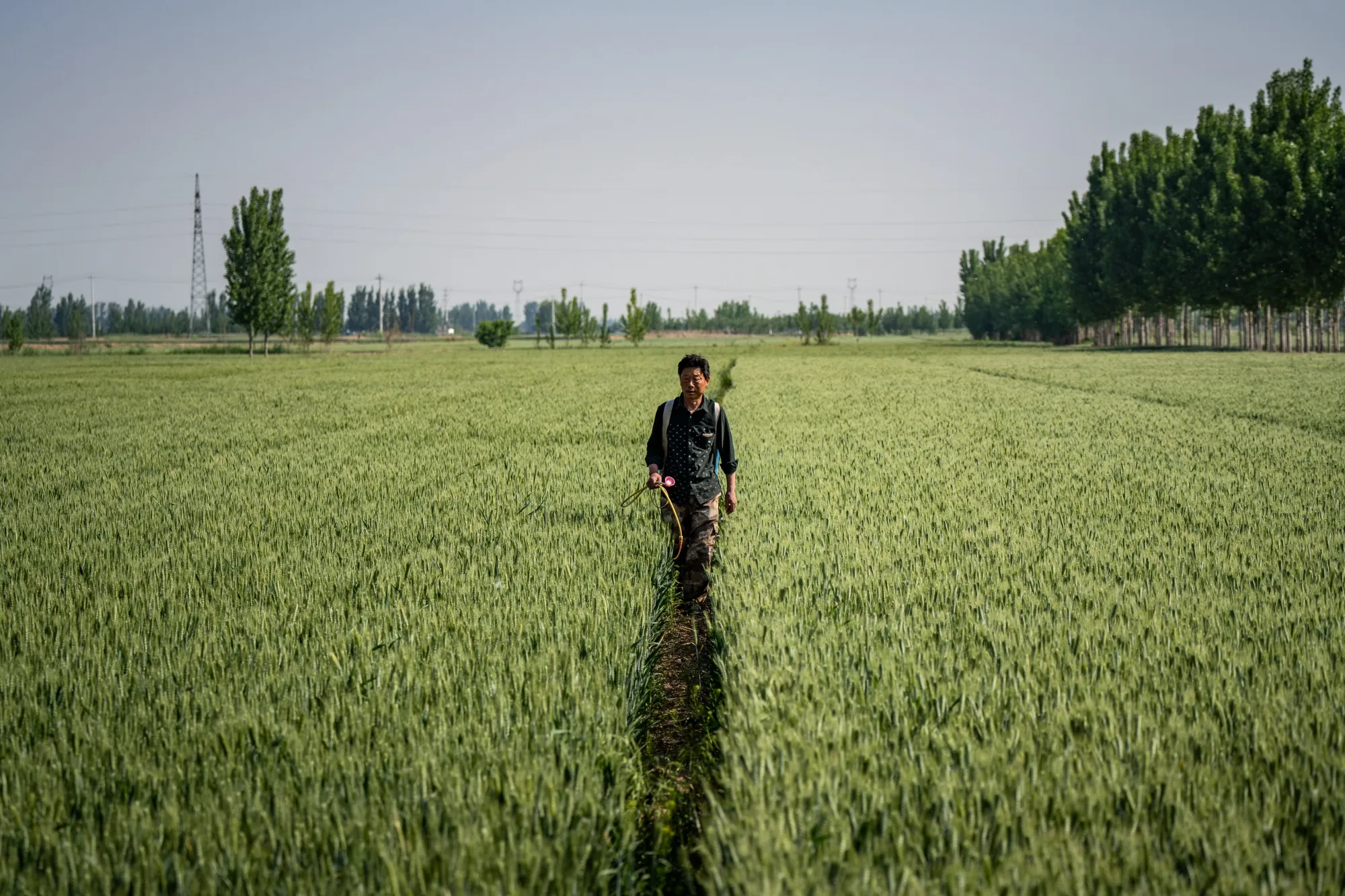 Five Key Charts to Watch in Global Commodity Markets This Week - Bloomberg