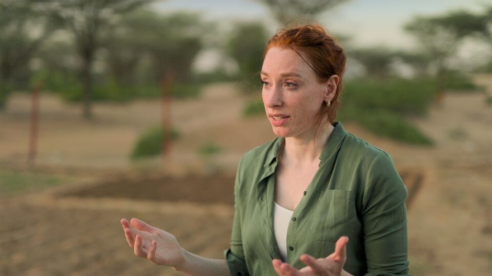 The Future with Hannah Fry - Bloomberg