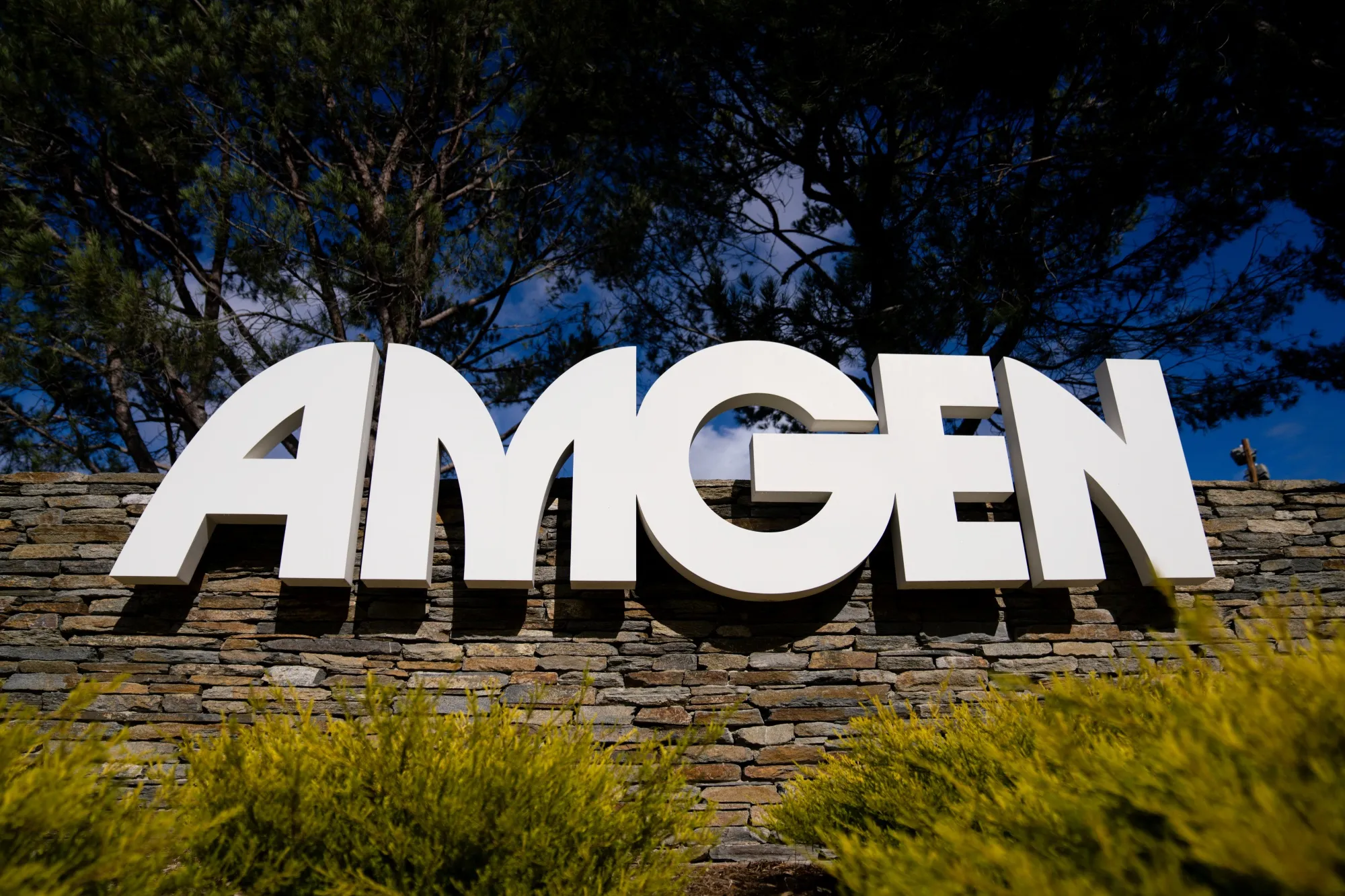 Amgen Discloses FDA Paused Study of Early-Stage Obesity Drug - Bloomberg