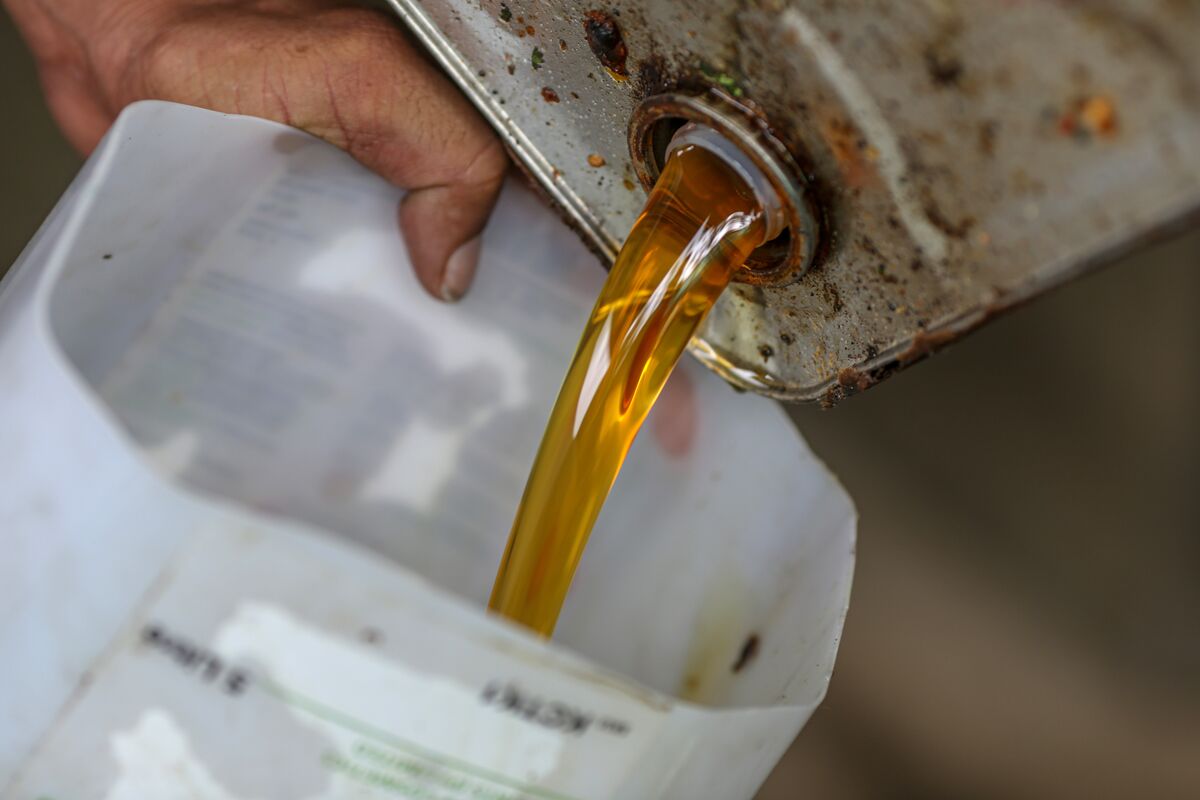 Imports of ‘Dodgy’ Cooking Oil Threaten EU’s Sustainability Push ...