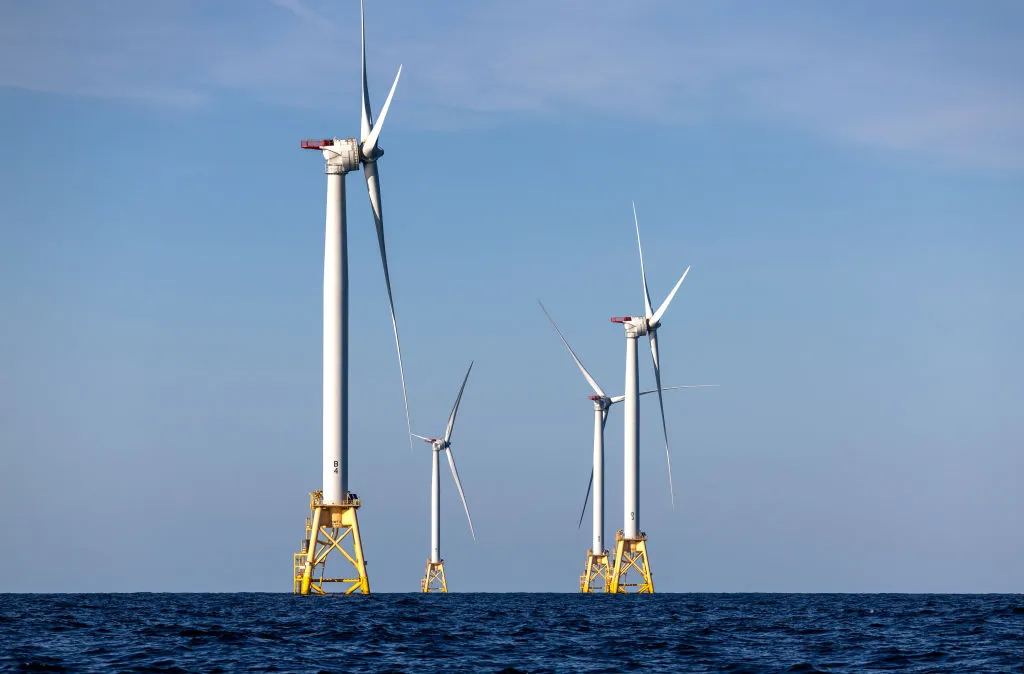 Fact Checking Trump: Are Whales Dying Because of Windmills? - Bloomberg
