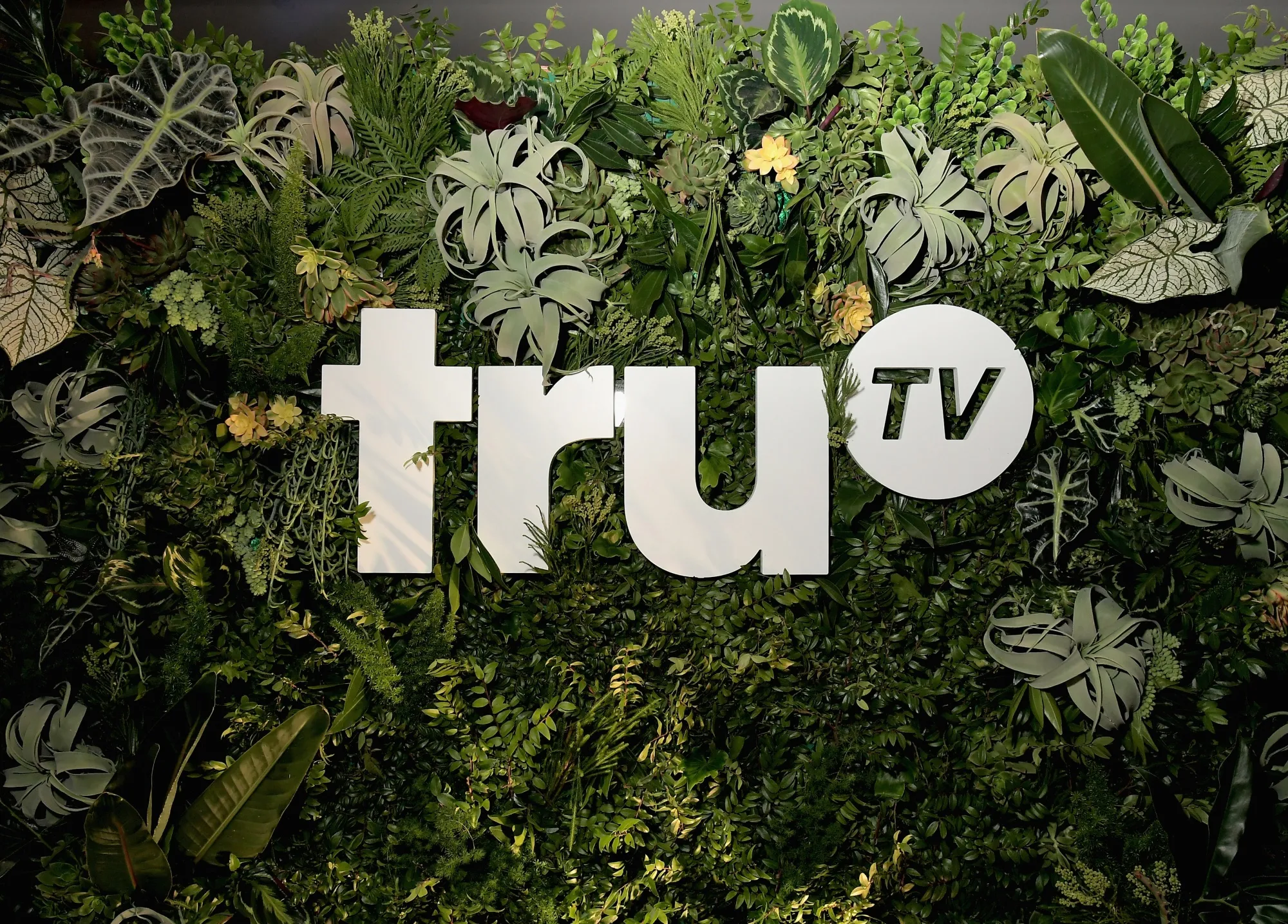 The New Trutv Logo