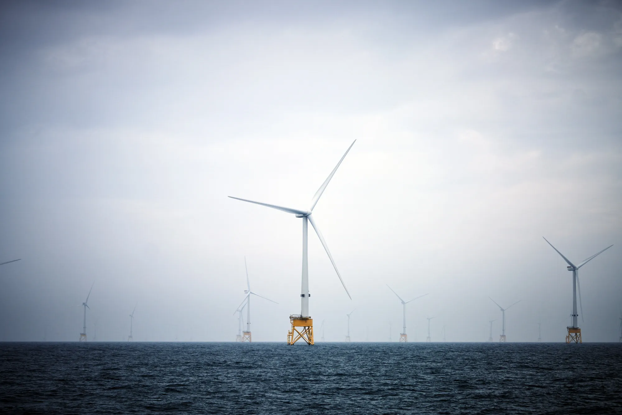 Faltering US Offshore Wind Industry Sends Next-Generation Startup ...
