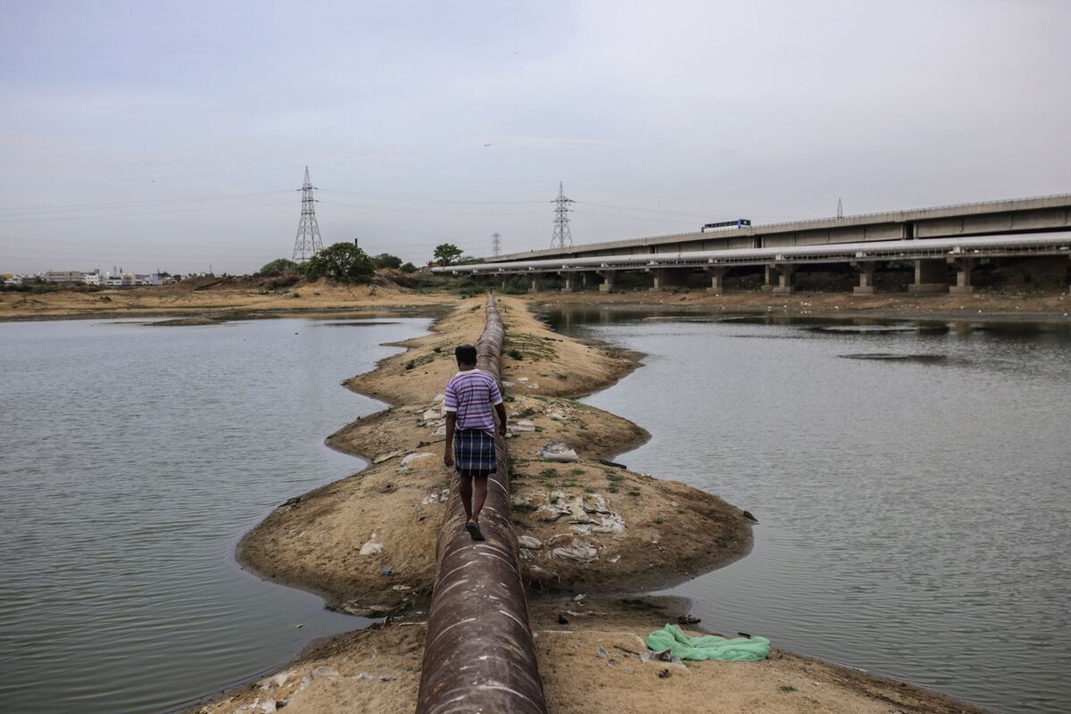 India Seeks Climate Disaster Compensation at COP27 Summit - Bloomberg