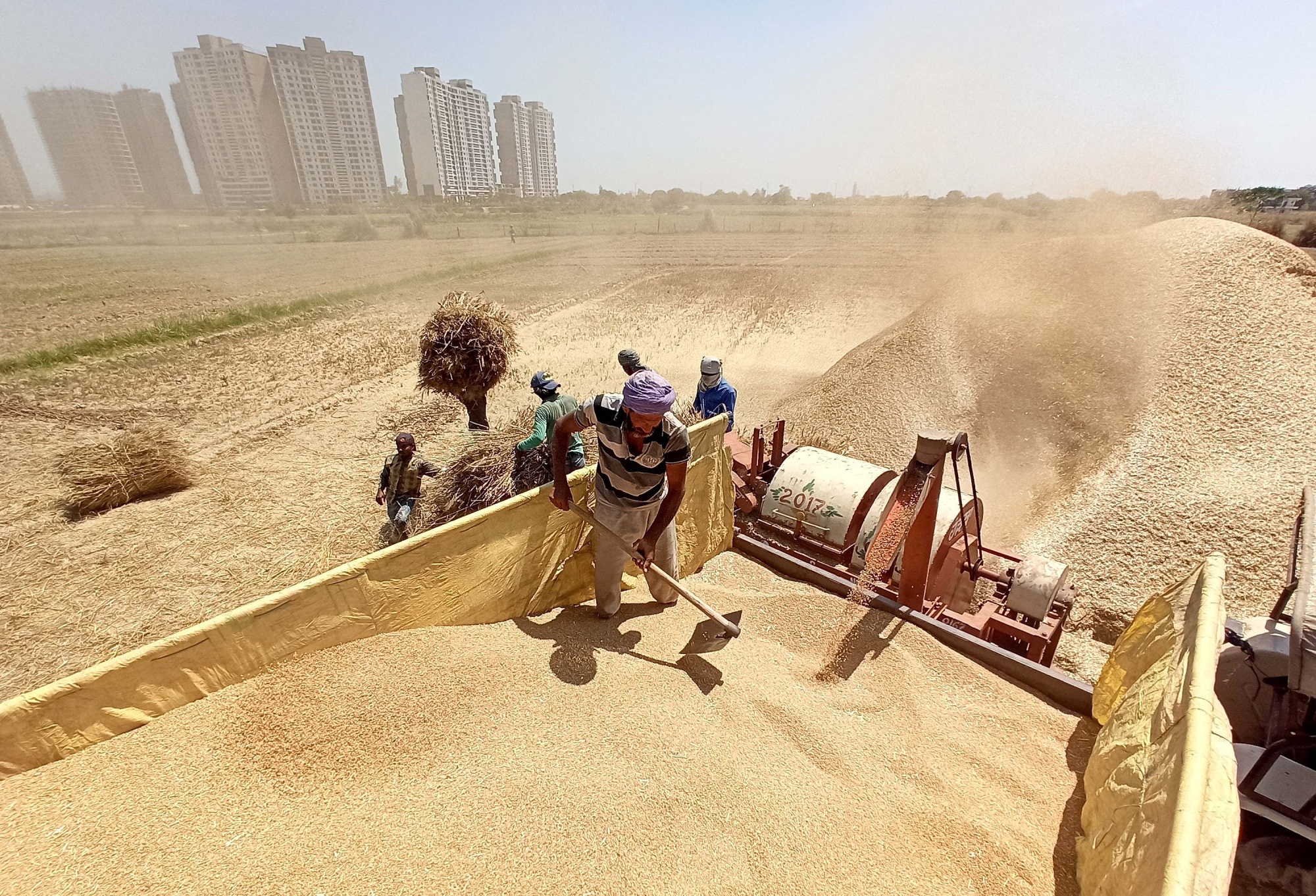 India Farm Output Lone Bright Spot in an Economy Set to Shrink - Bloomberg