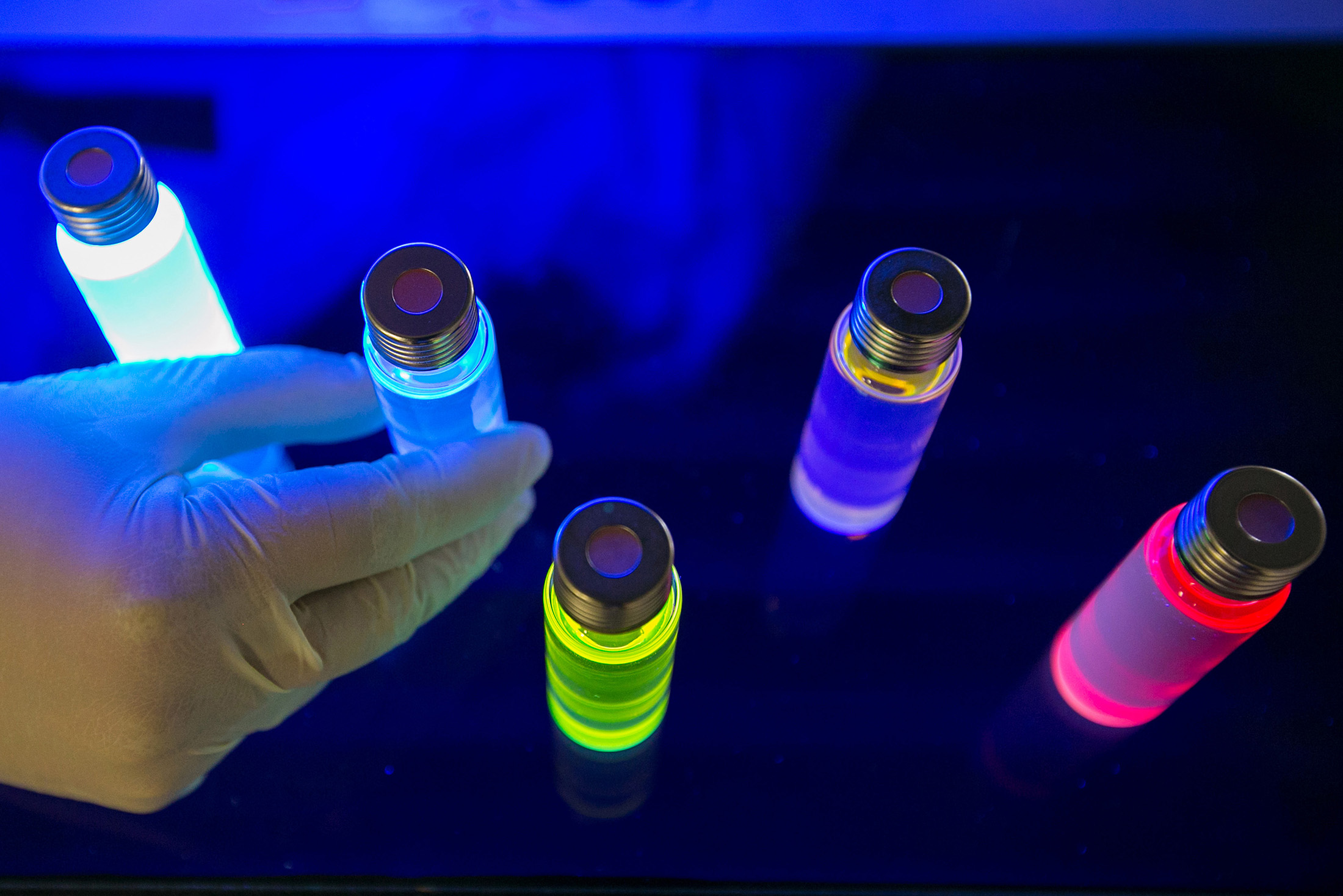 Most of Trump’s Science Nominees Don't Have Advanced Science Degrees ...