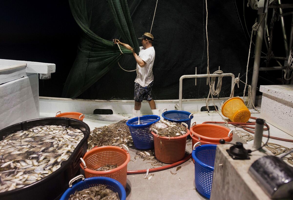 Tropical Storm Barry Brings Shrimp Fishing to Halt in U.S. Gulf - Bloomberg
