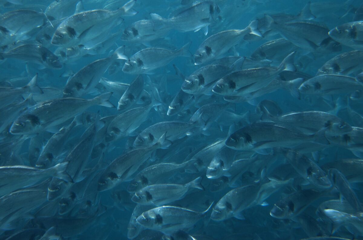 Ex-Google, Stability AI Researchers Launch AI Startup That Takes Cues ...