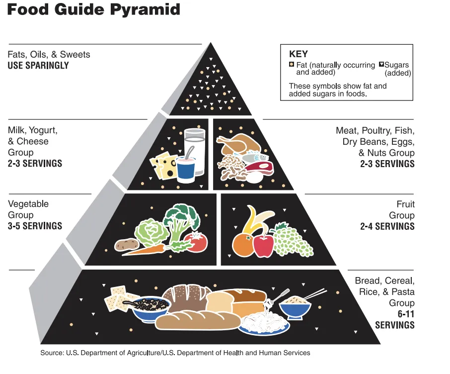 American Food Pyramid 2024