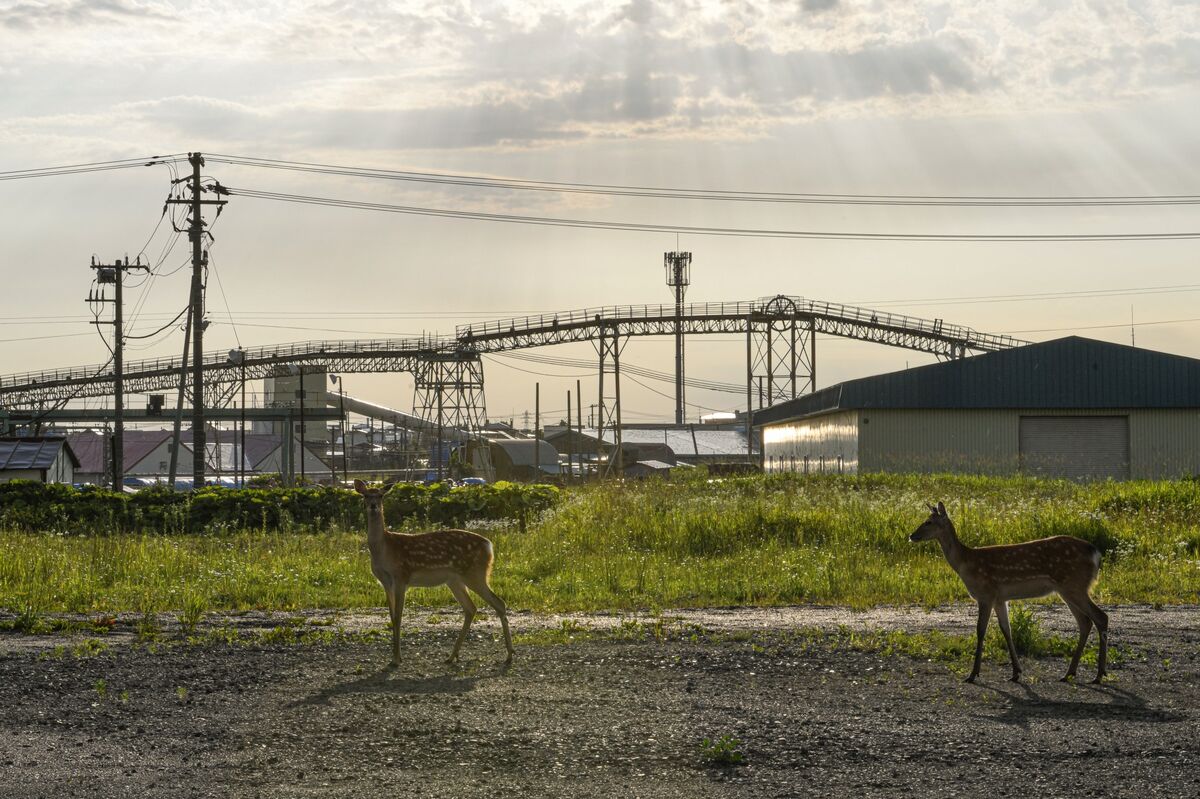 Japan’s Support for Coal Undermines Its Climate Goals