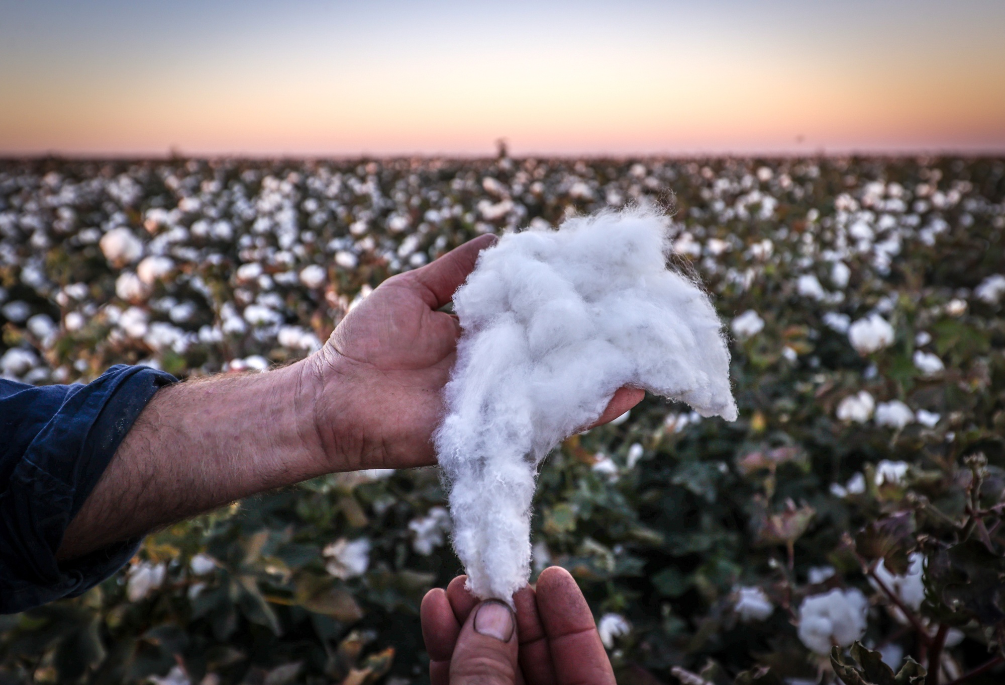 China May Open Up to More Foreign Cotton After Xinjiang Ban - Bloomberg