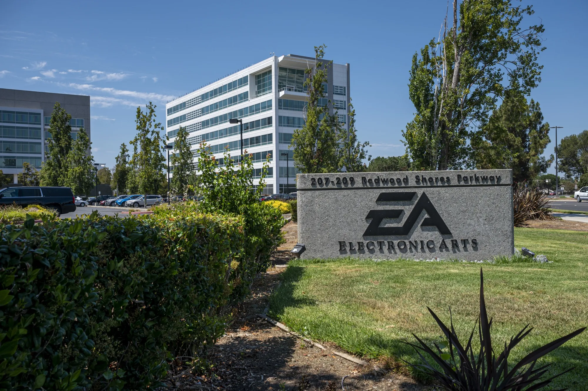 Why EA Canceled a New ‘Black Panther’ Video Game and Closed Cliffhanger ...