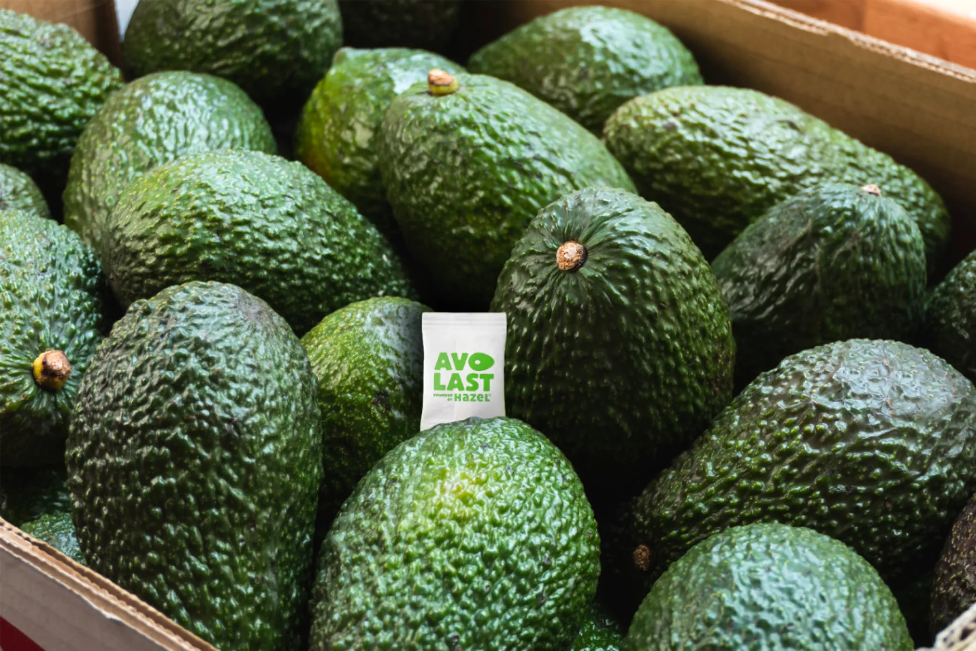 Supply Chains Latest: Avocado shelf life extended by tiny sachet ...