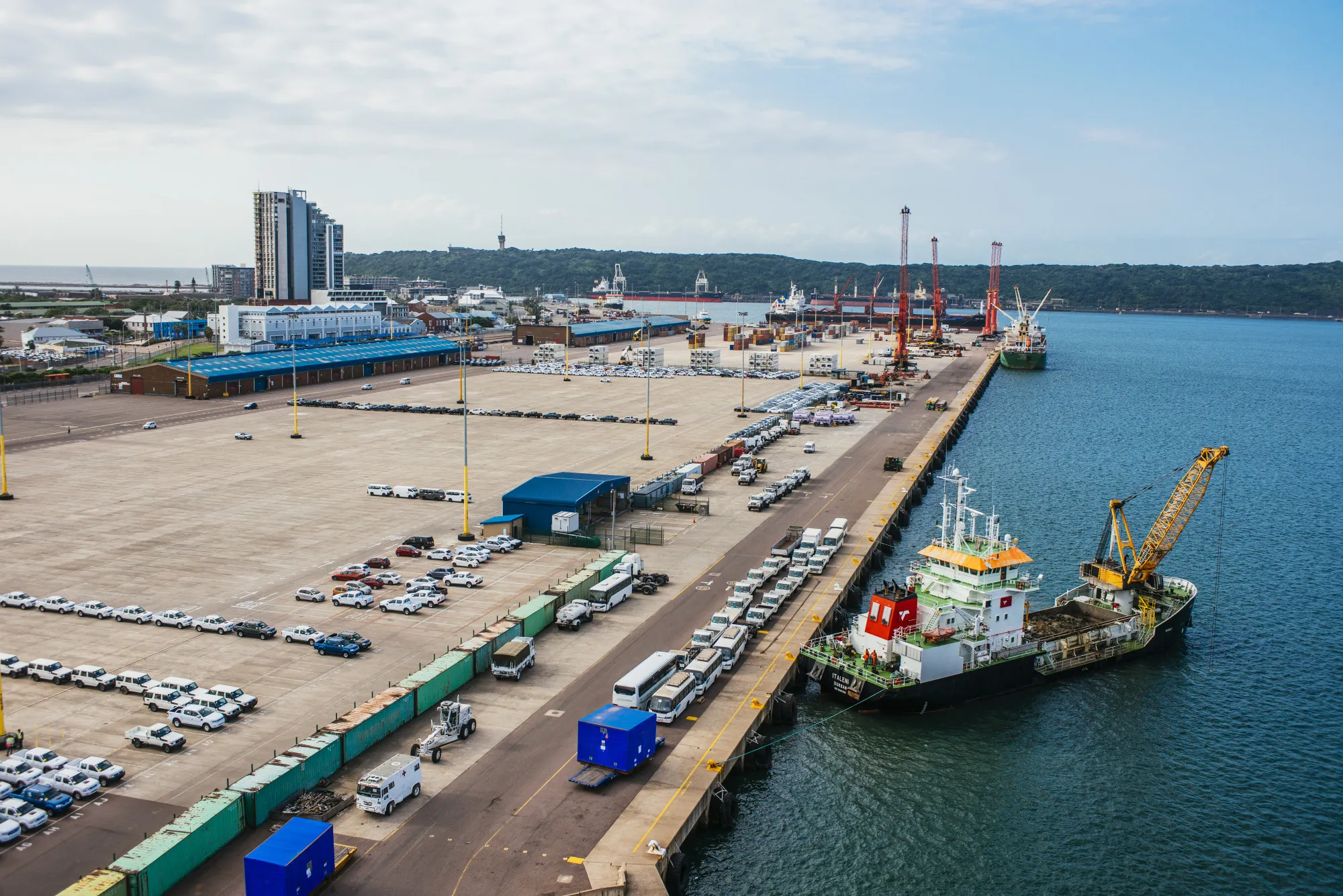 South Africa's Transnet Seeks Private Investors for Citrus Export ...