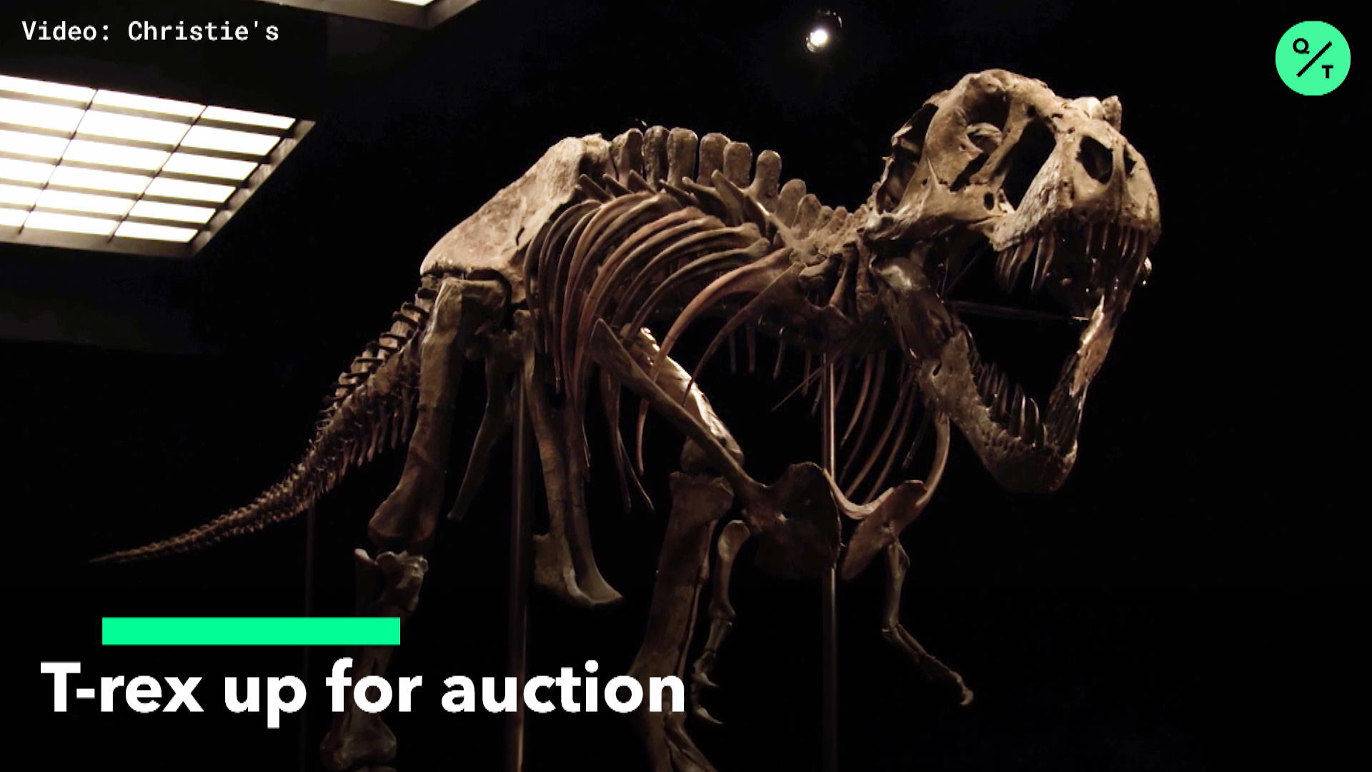 Watch T-Rex Up For Auction - Bloomberg
