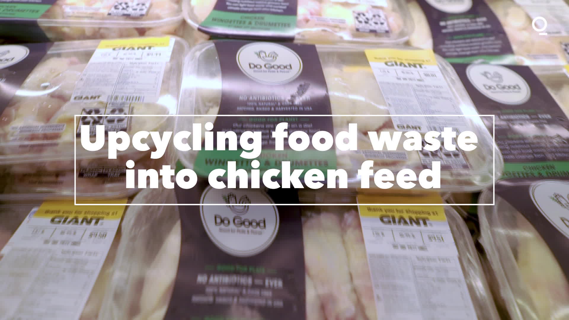 Watch Upcycling Food Waste into Chicken Feed - Bloomberg