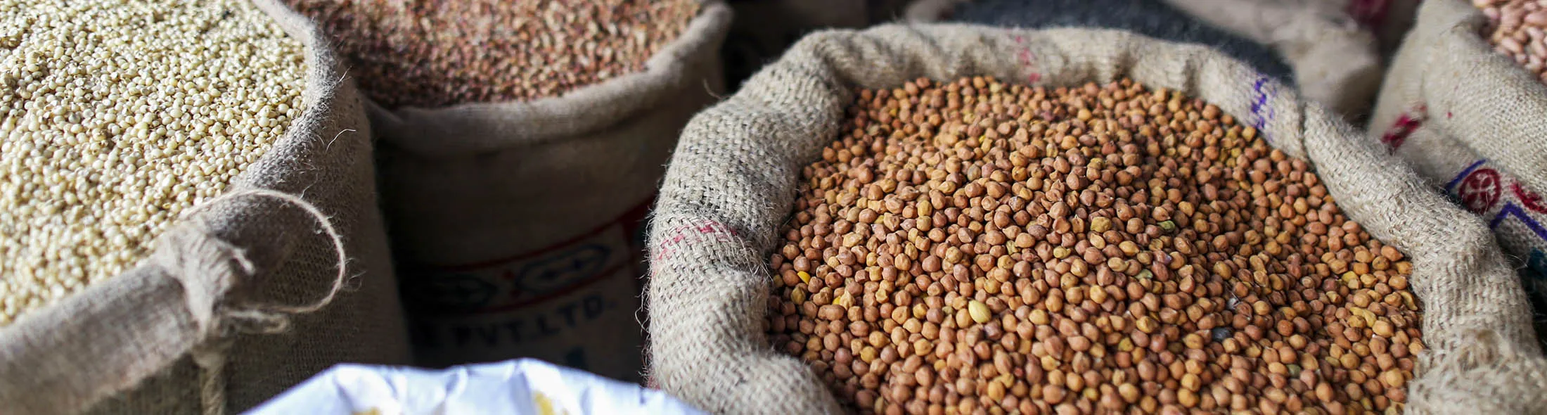 Indian Lentil Buyers Renegotiate as Price Slumps on Crop - Bloomberg