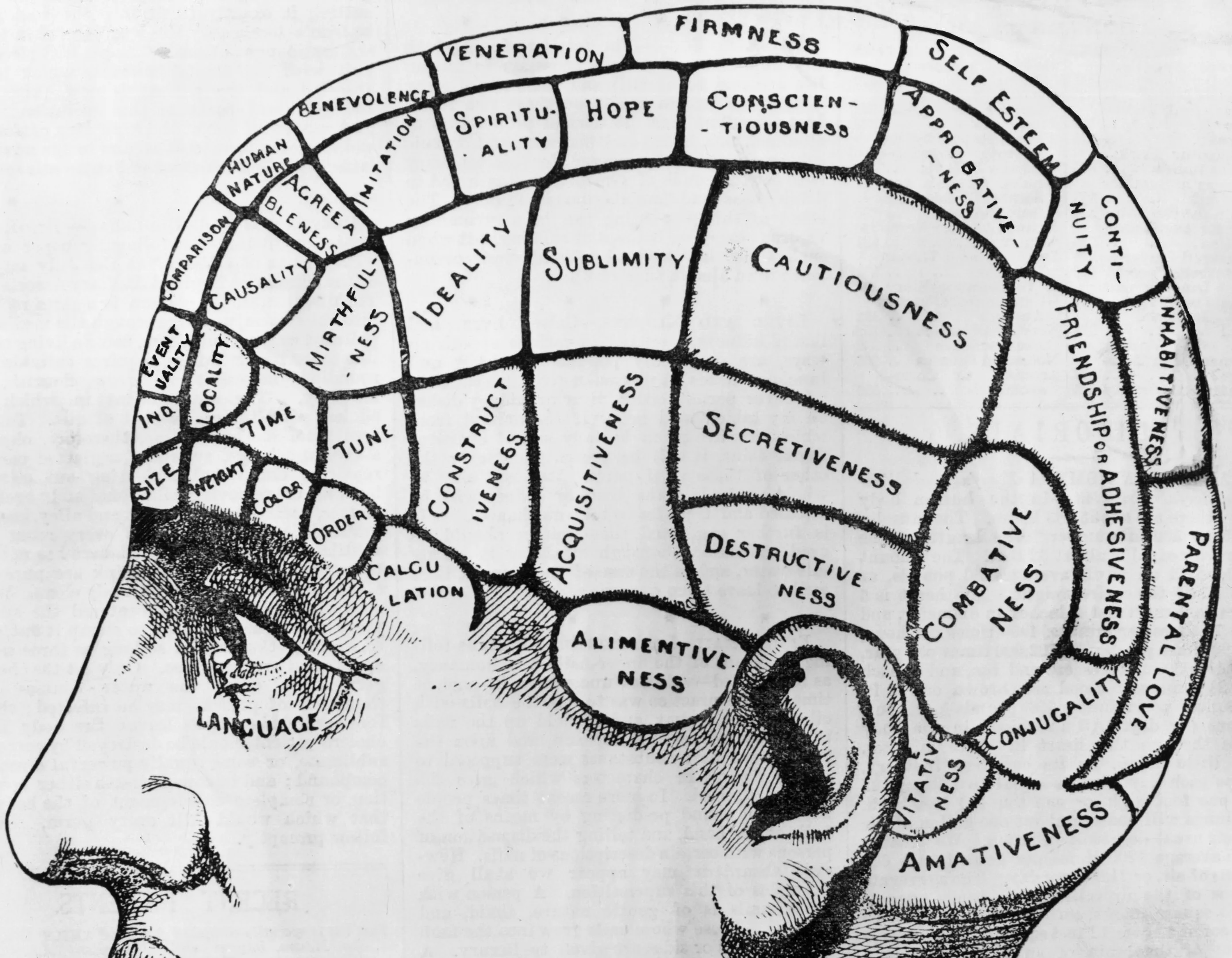 I Was Skeptical About Innovation Advice, So I Put It to the Test ...