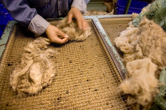 The Pentagon Gets Into the Cashmere Business - Bloomberg