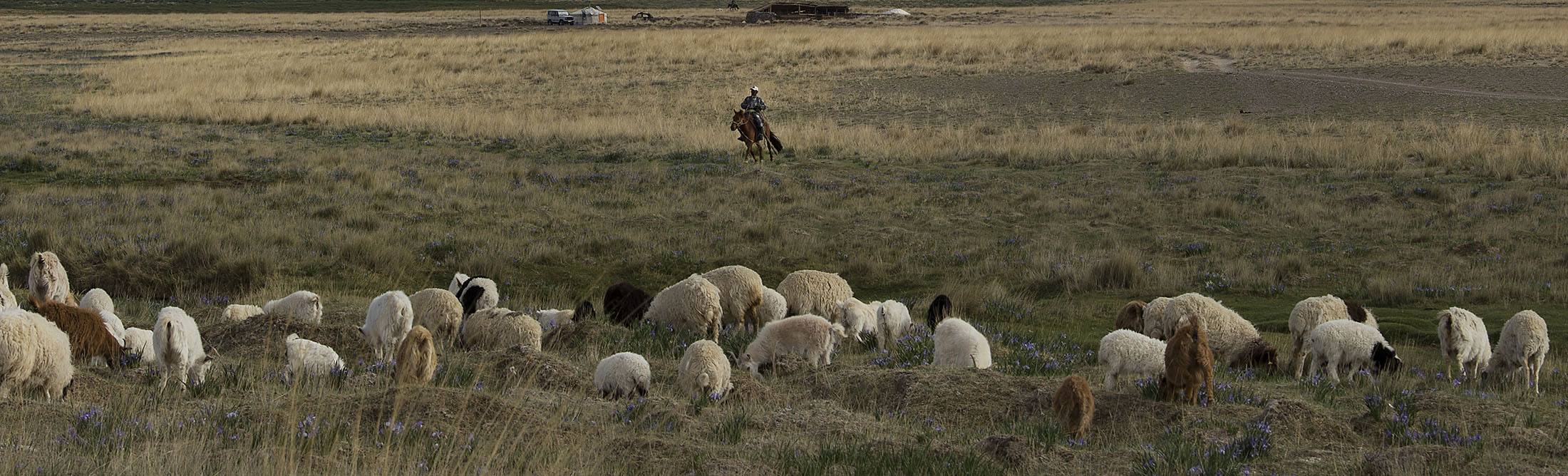 This Sweater Company Is Breaking a Cashmere Cartel - Bloomberg